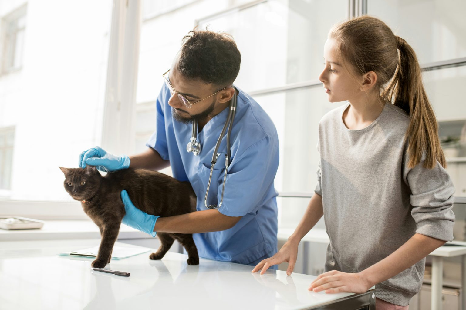 Common Pet Health Problems and How Veterinary Medicine | Alea Weil